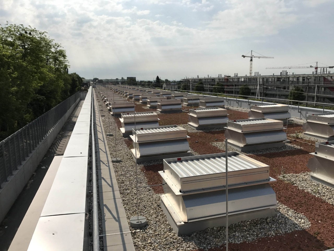 RWA Anlagen | Colt DE